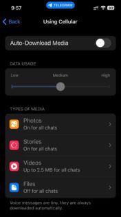 How to Find Telegram Downloaded Files - Tech Junkie