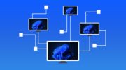 How to Connect Multiple Monitors (Windows 10 and 11) - Tech Junkie